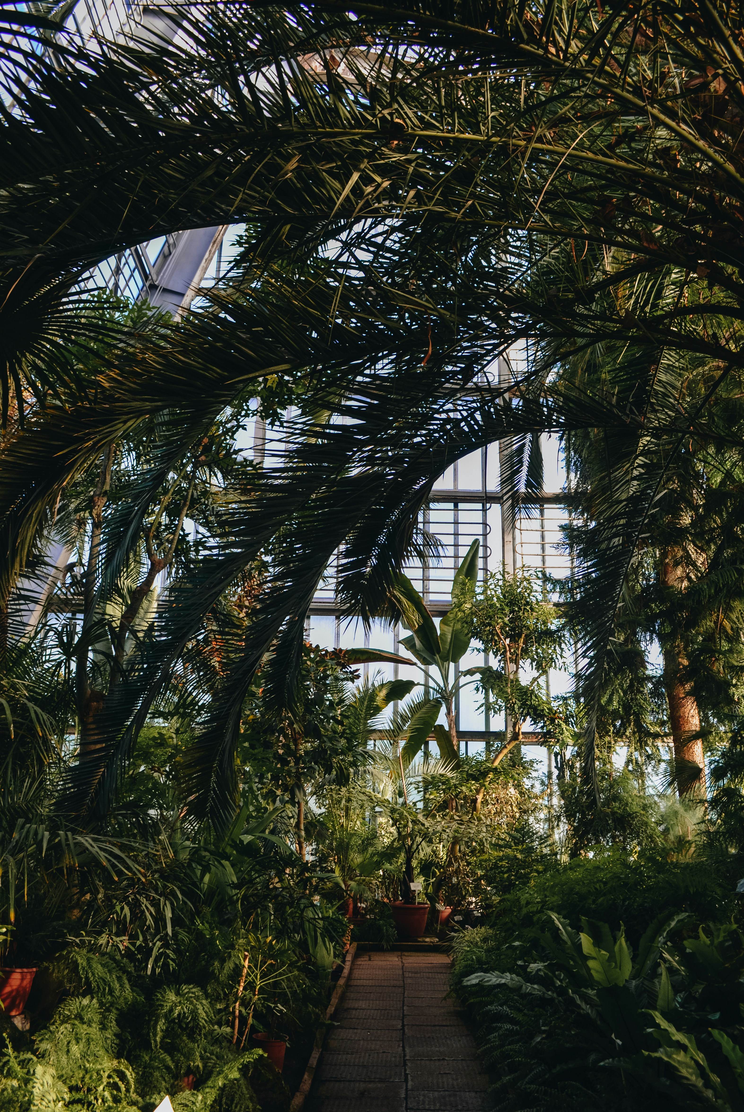Paris City Guide | Sézane
