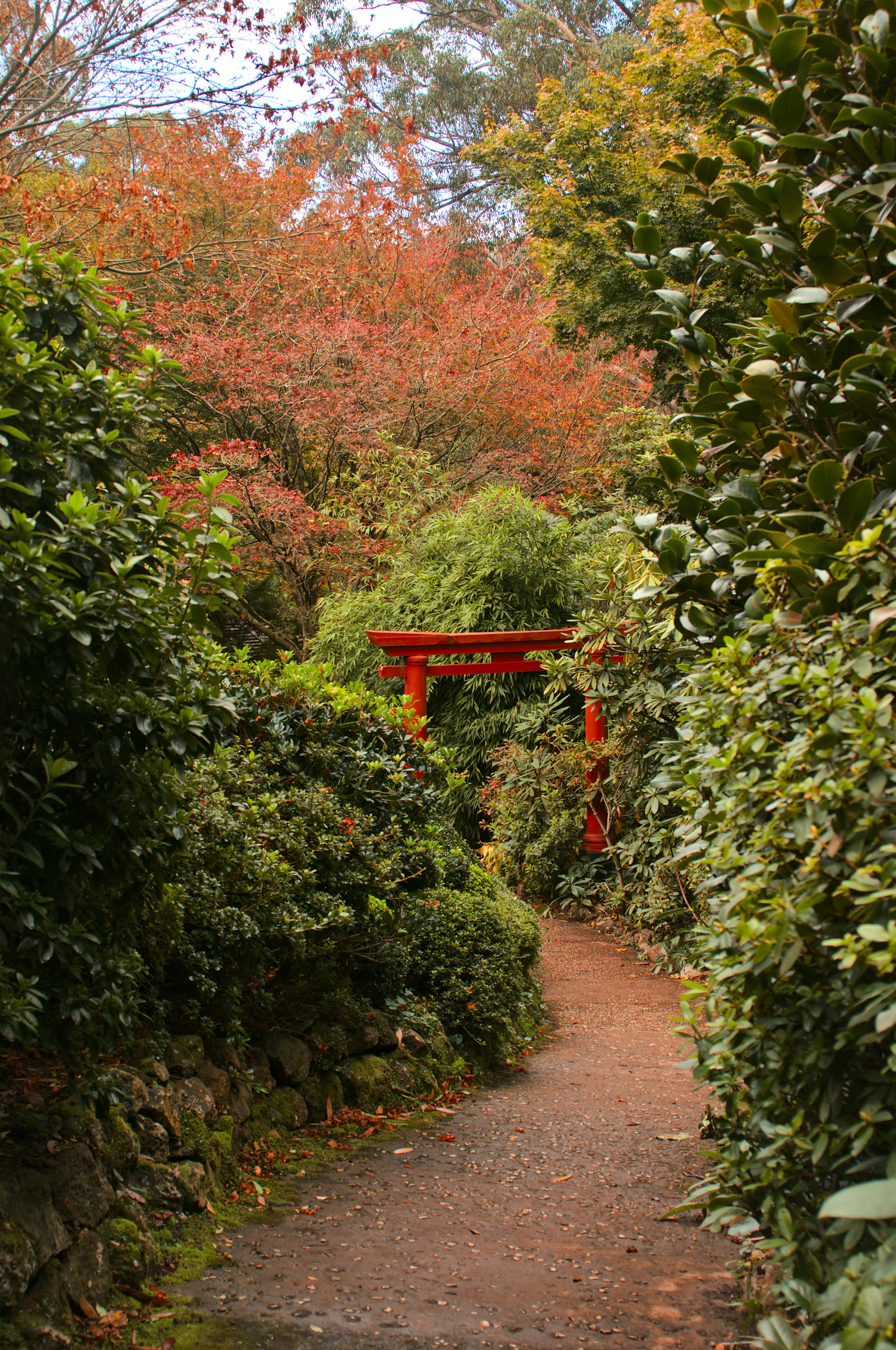 City Guide Nantes Map | Sézane