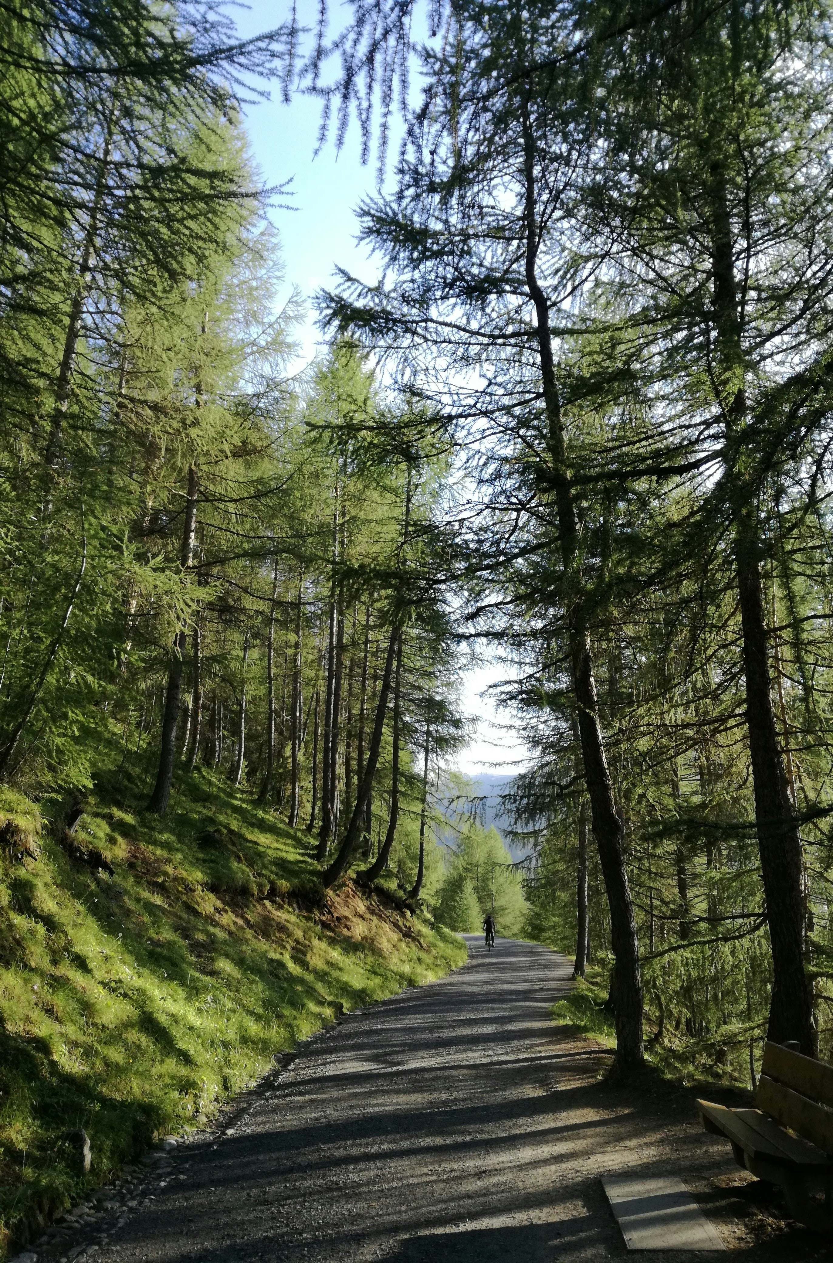 City Guide Boston Map | Sézane