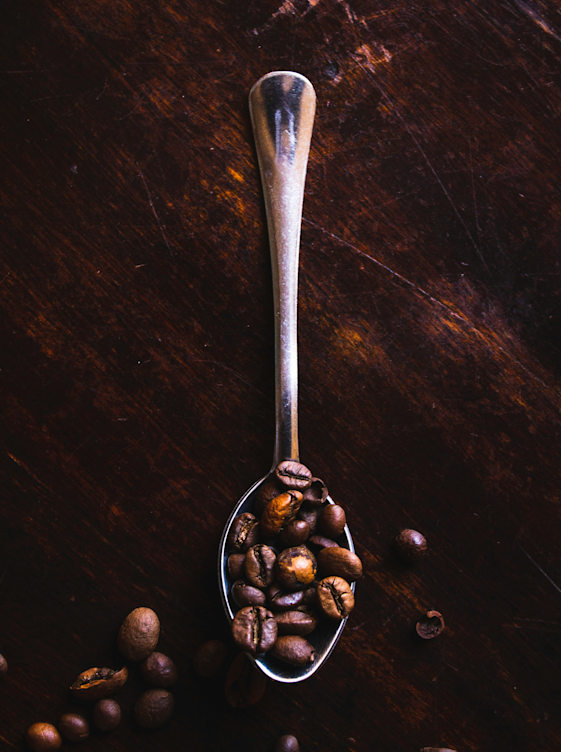 City Guide Atlanta Map | Sézane